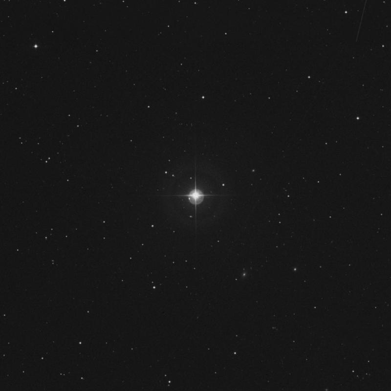 HR5096 - Star in Canes Venatici | TheSkyLive