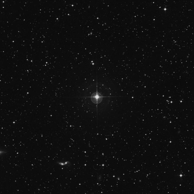 HR5104 - Star in Centaurus | TheSkyLive