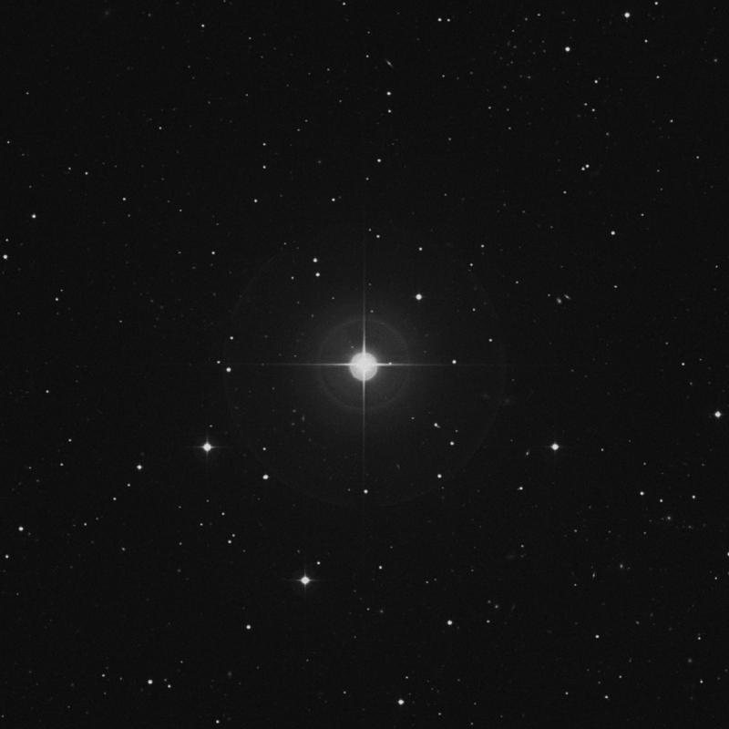 25 Canum Venaticorum - Star in Canes Venatici | TheSkyLive