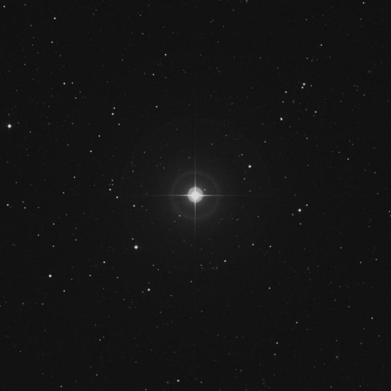84 Virginis - Star in Virgo | TheSkyLive