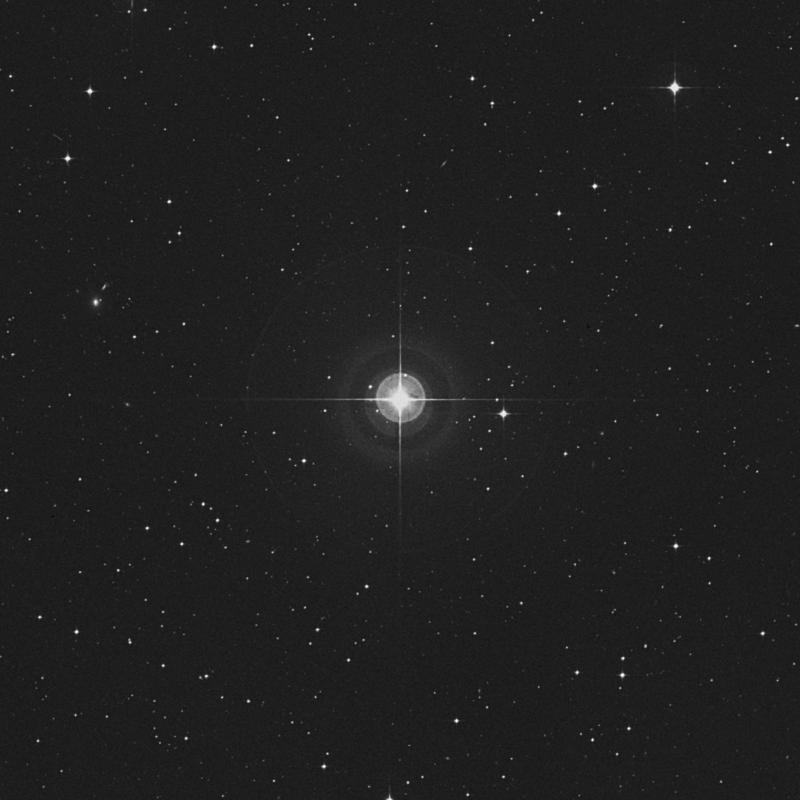 83 Virginis - Star in Virgo | TheSkyLive