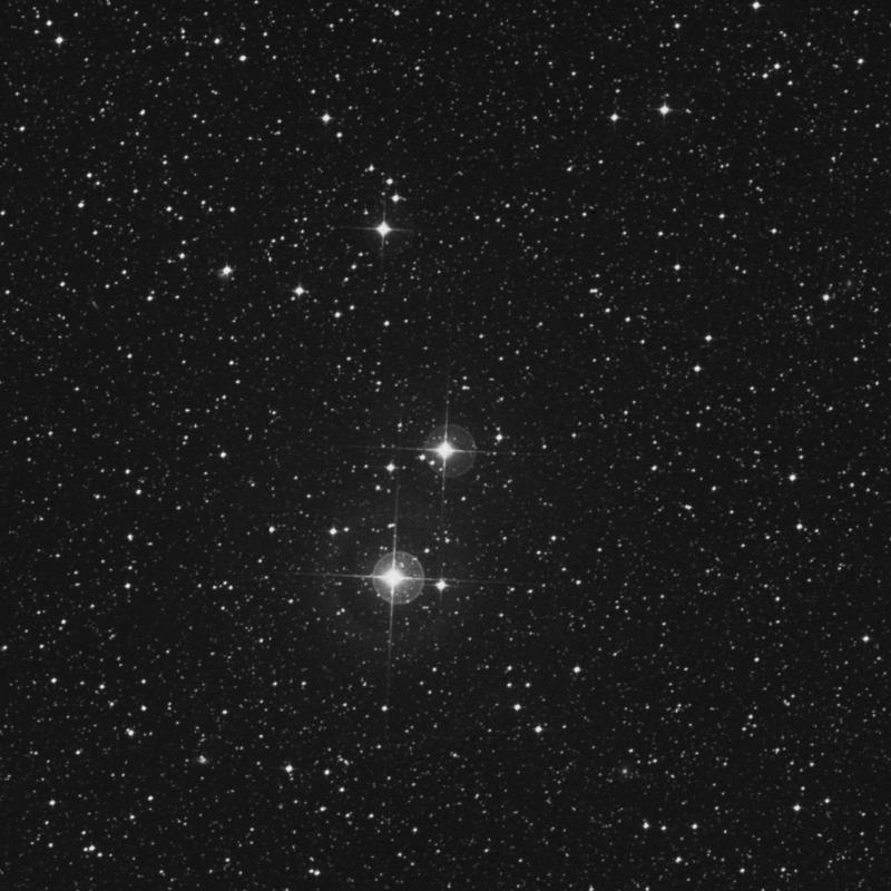 HR5175 - Star in Centaurus | TheSkyLive