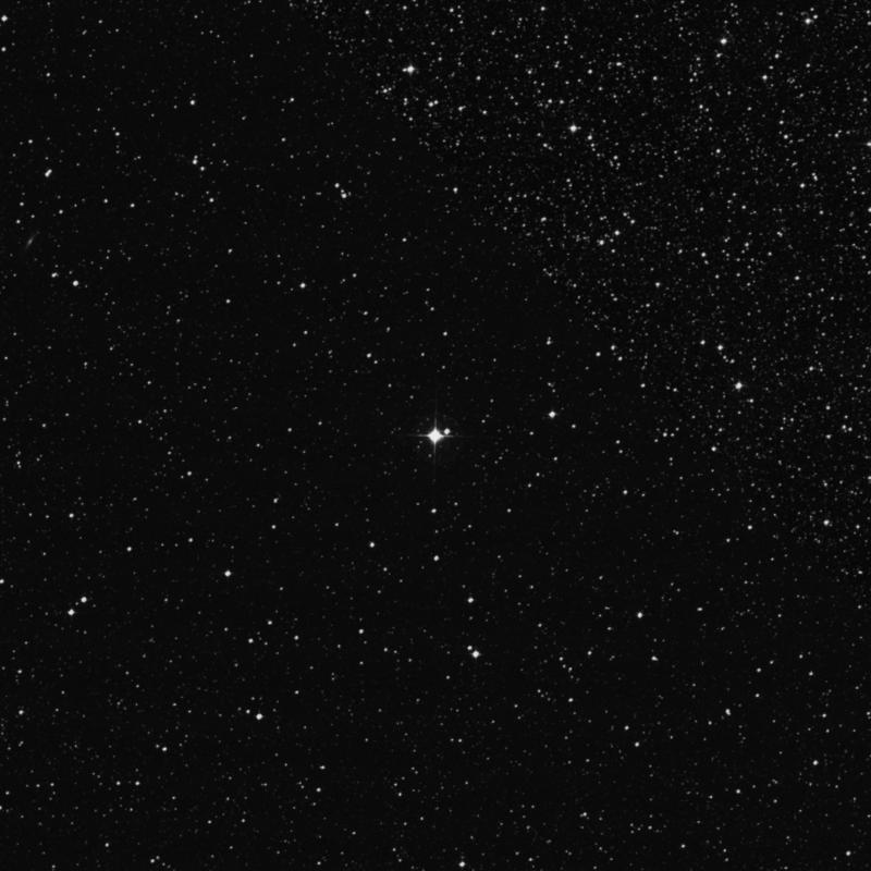 HR5234 - Star in Centaurus | TheSkyLive