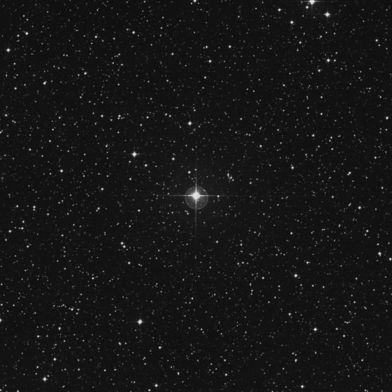 HR5286 - Star in Centaurus | TheSkyLive