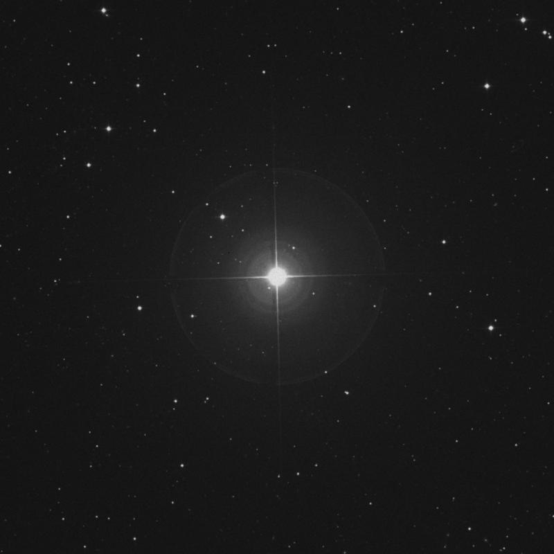 Thuban - α Draconis (alpha Draconis) - Star in Draco | TheSkyLive