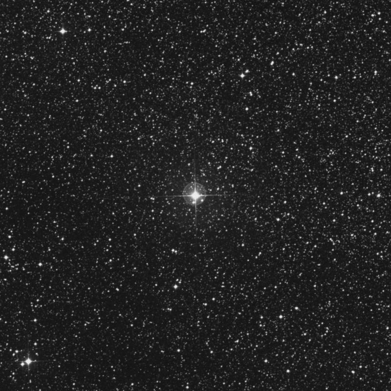 HR5316 - Star in Centaurus | TheSkyLive