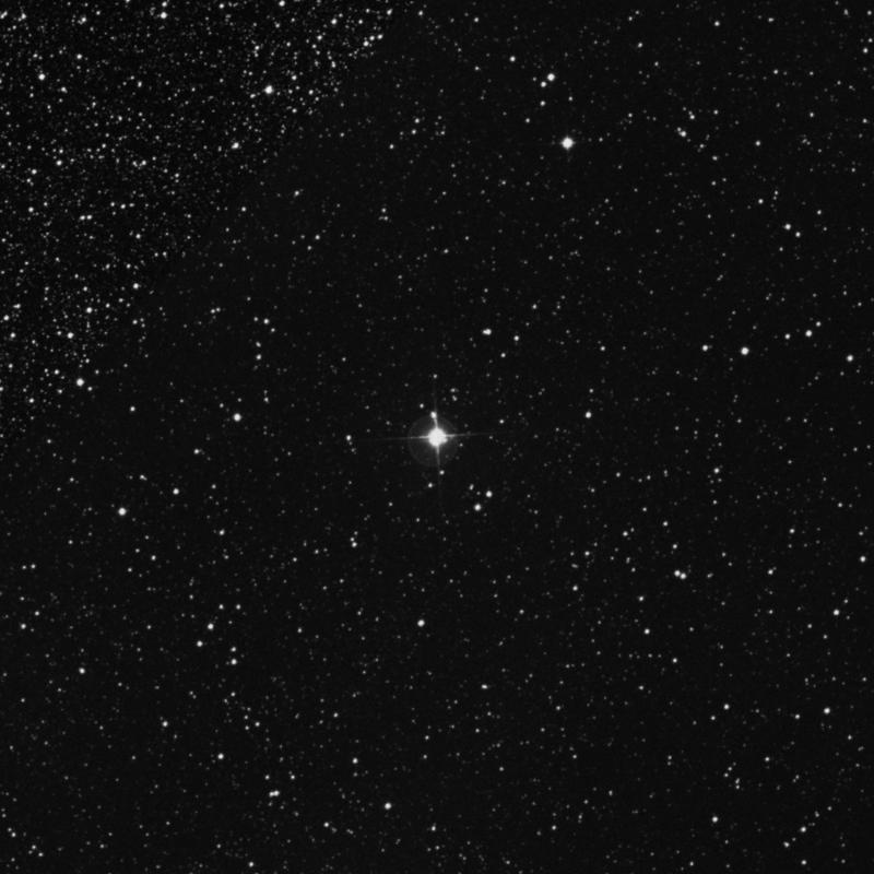 HR5371 - Star in Centaurus | TheSkyLive