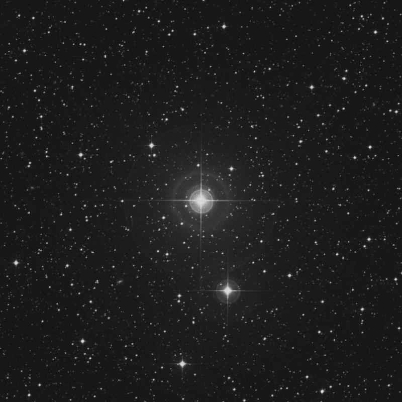 HR5378 - Star in Centaurus | TheSkyLive