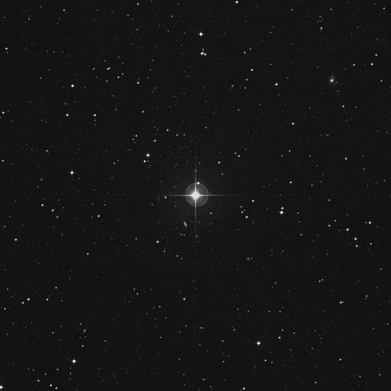 104 Virginis - Star in Virgo | TheSkyLive