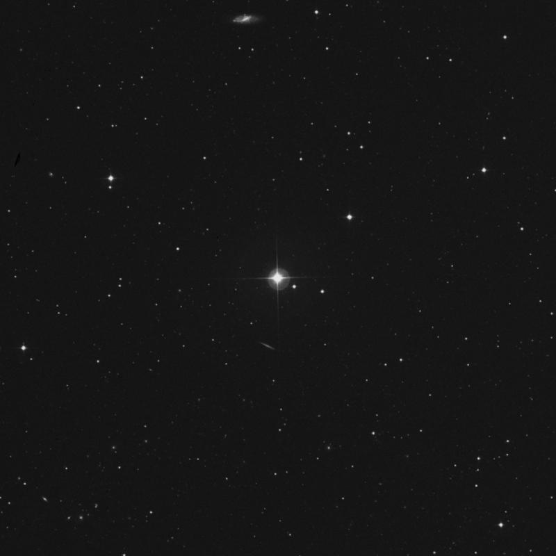 HR5411 - Star in Boötes | TheSkyLive