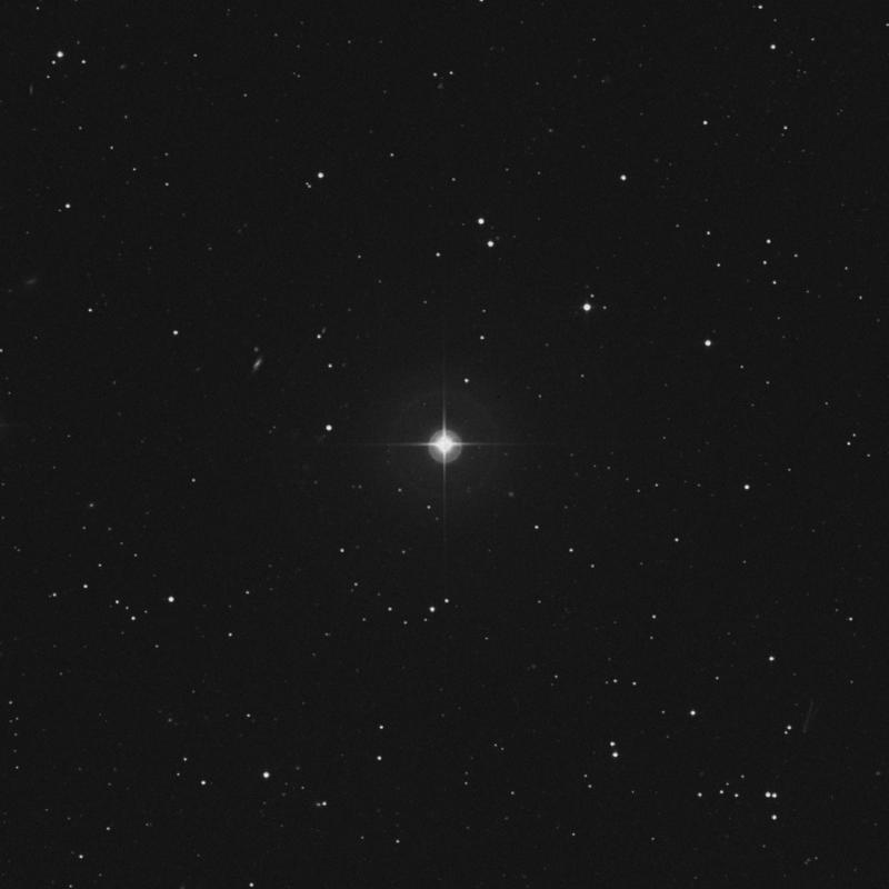 HR5416 - Star in Boötes | TheSkyLive