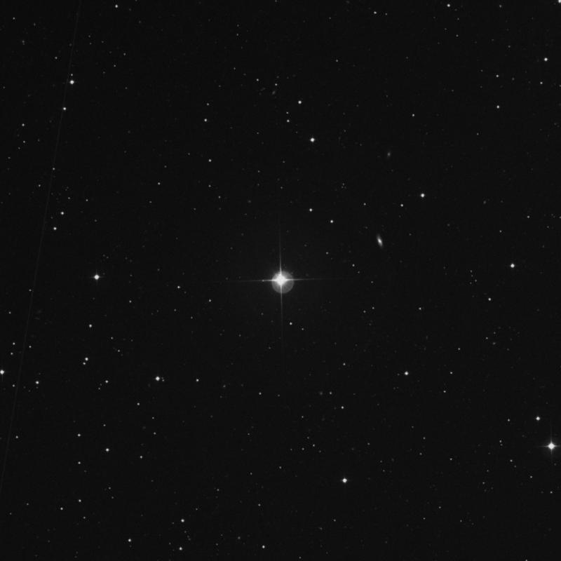 HR5423 - Star in Boötes | TheSkyLive