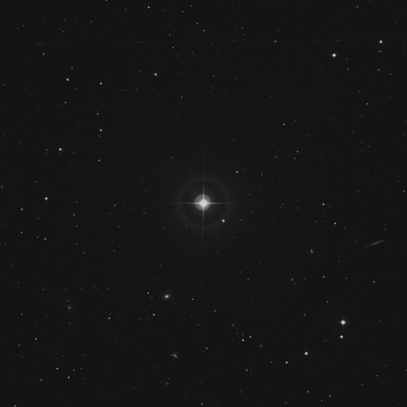 HR5462 - Star in Boötes | TheSkyLive