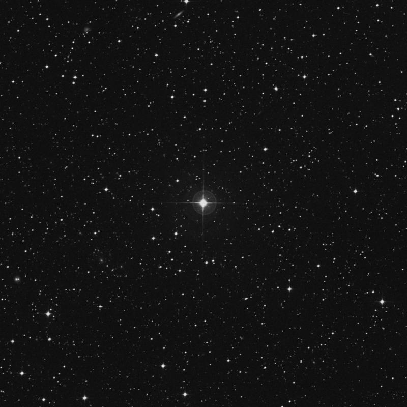 HR5474 - Star in Centaurus | TheSkyLive