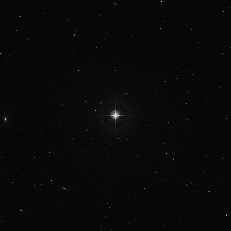 HR5510 - Star in Boötes | TheSkyLive