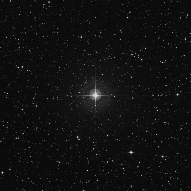HR5519 - Star in Centaurus | TheSkyLive
