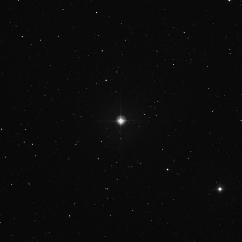 HR5529 - Star in Boötes | TheSkyLive