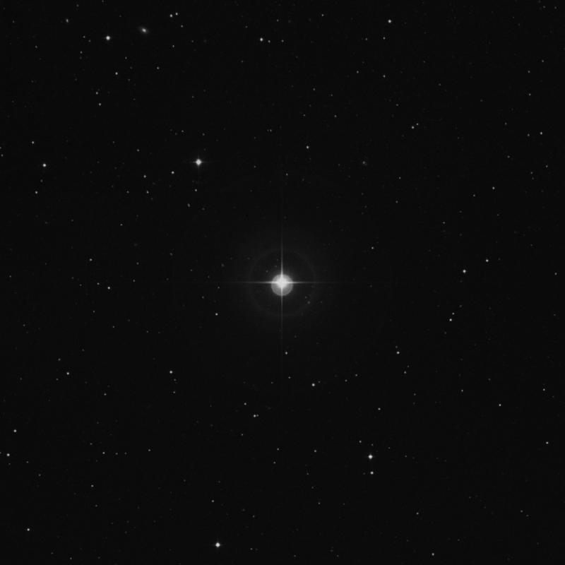 HR5541 - Star in Boötes | TheSkyLive