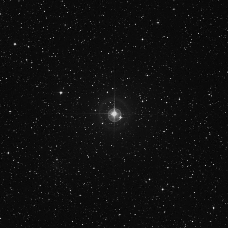 HR5549 - Star in Centaurus | TheSkyLive