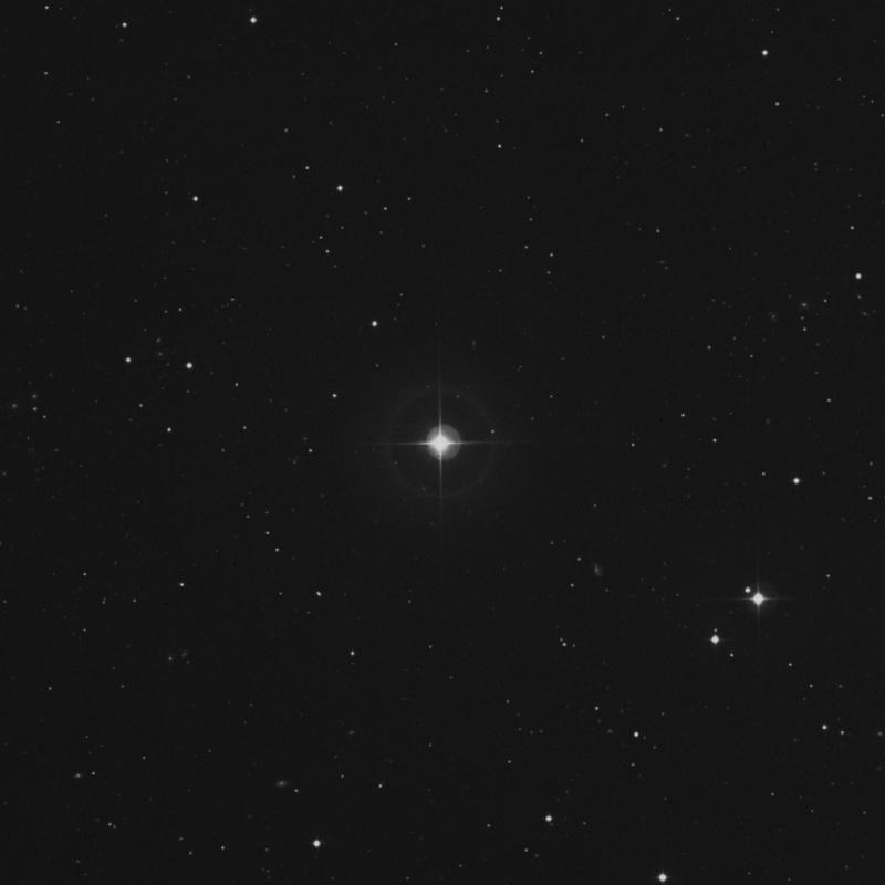 HR5553 - Star in Boötes | TheSkyLive