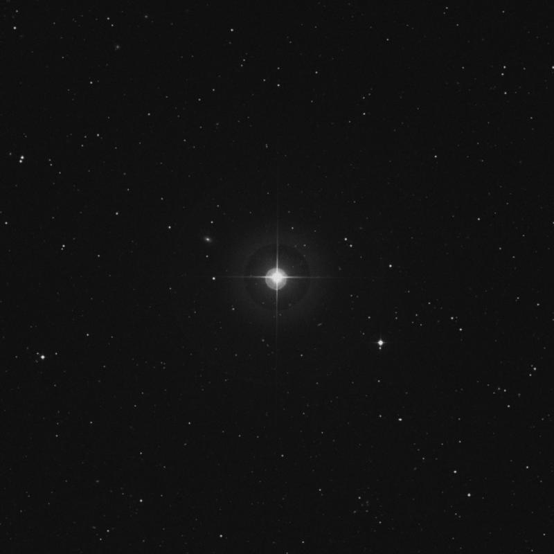 HR5575 - Star in Boötes | TheSkyLive