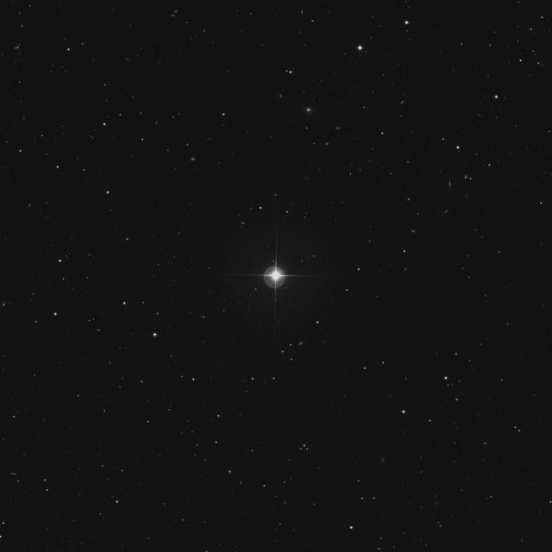 HR5630 - Star in Boötes | TheSkyLive