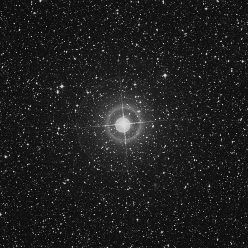 γ Trianguli Australis (gamma Trianguli Australis) - Star in Triangulum ...