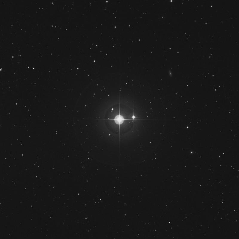 14 Arietis - Star in Aries | TheSkyLive