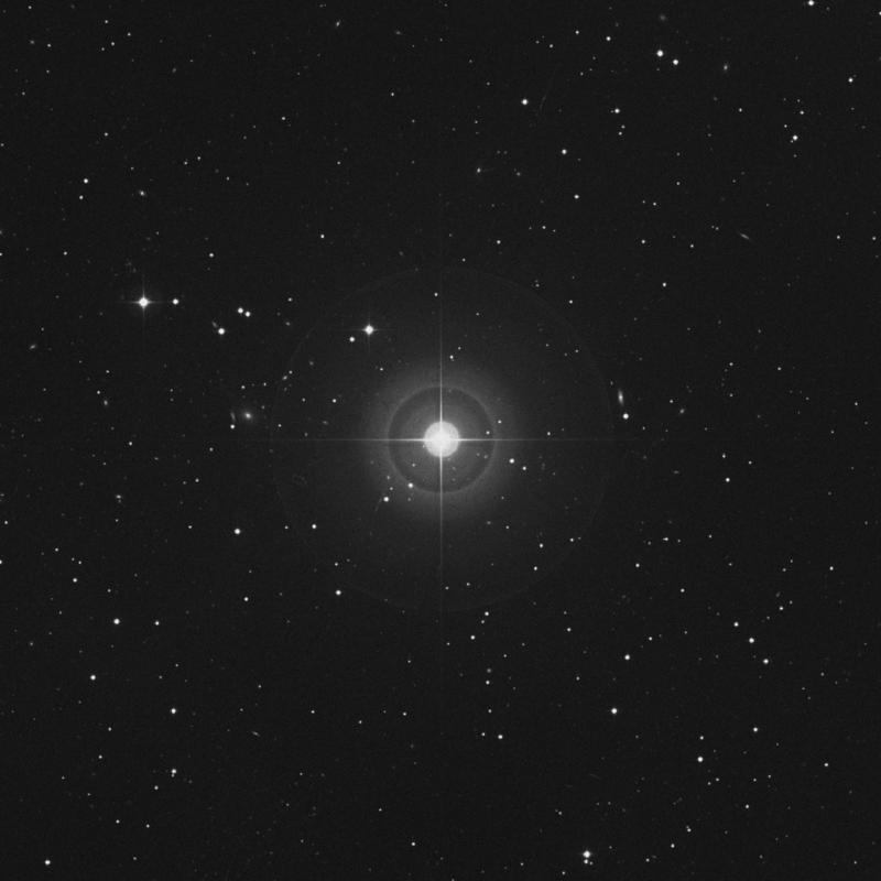 15 Arietis - Star in Aries | TheSkyLive