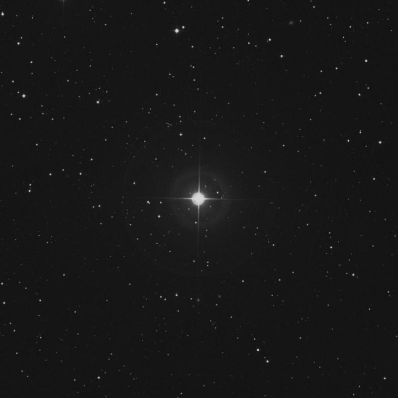 6 Trianguli - Star in Triangulum | TheSkyLive