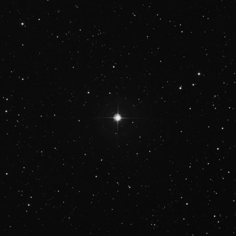 7 Trianguli - Star in Triangulum | TheSkyLive