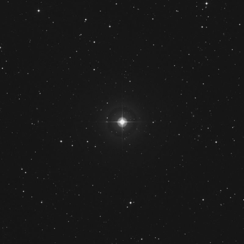 20 Arietis - Star in Aries | TheSkyLive