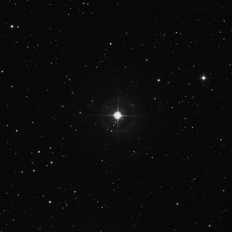 δ Trianguli (delta Trianguli) - Star in Triangulum | TheSkyLive
