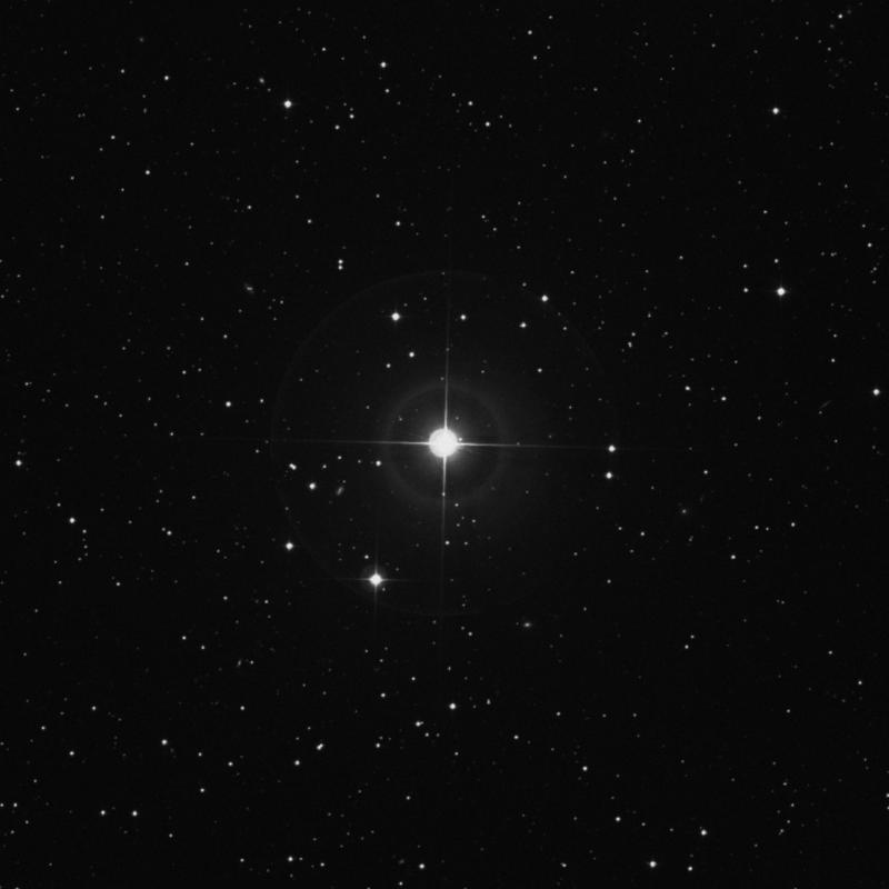 γ Trianguli (gamma Trianguli) - Star in Triangulum | TheSkyLive