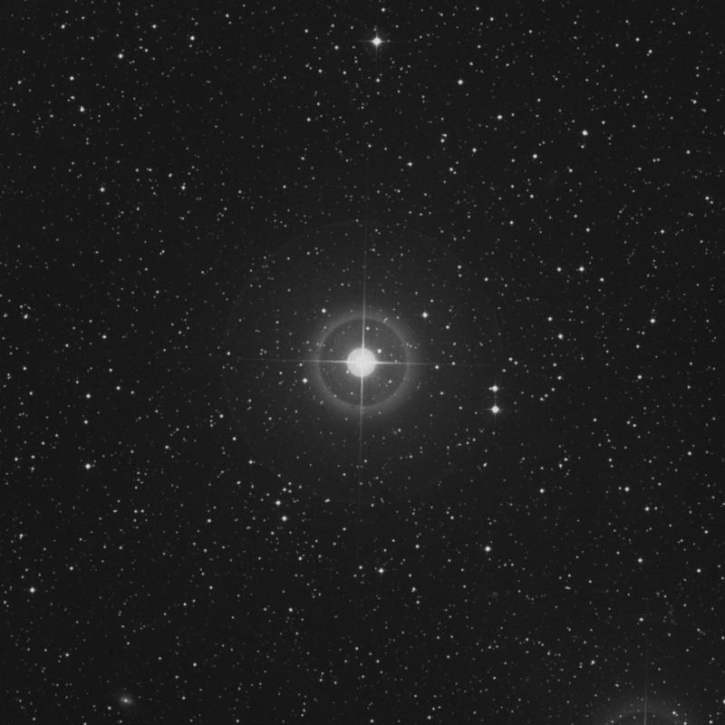 65 Andromedae - Star in Andromeda | TheSkyLive