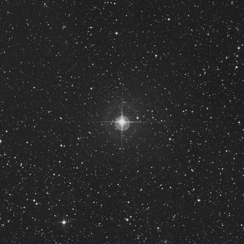 13 Scorpii - Star in Scorpius | TheSkyLive