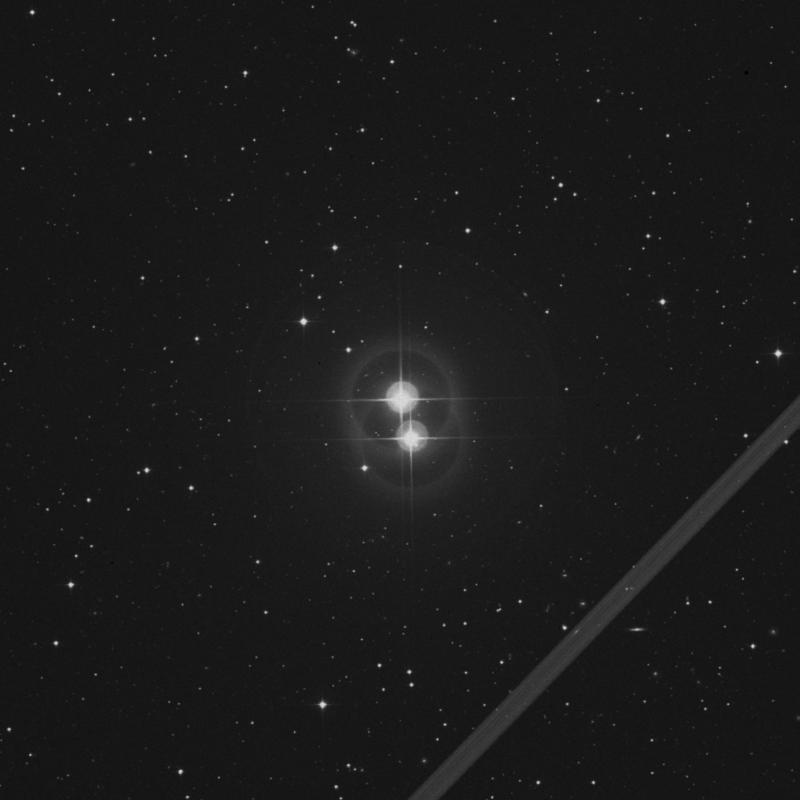 17 Draconis - Star in Draco | TheSkyLive