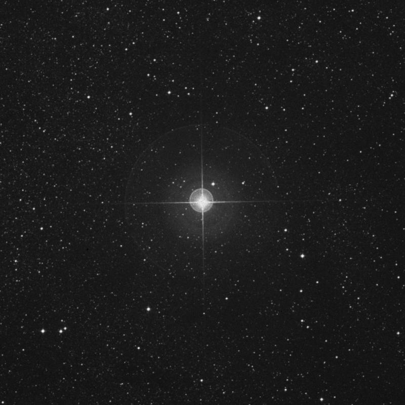 Shaula - λ Scorpii (lambda Scorpii) - Star in Scorpius | TheSkyLive