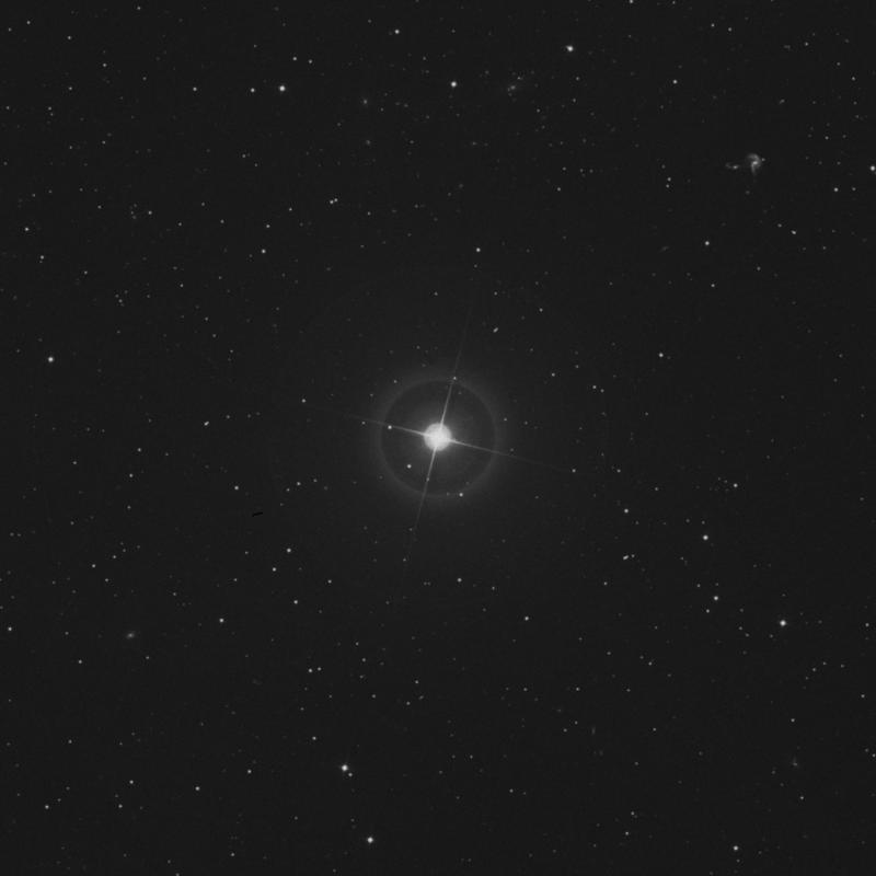 Yildun - δ Ursae Minoris (delta Ursae Minoris) - Star in Ursa Minor ...