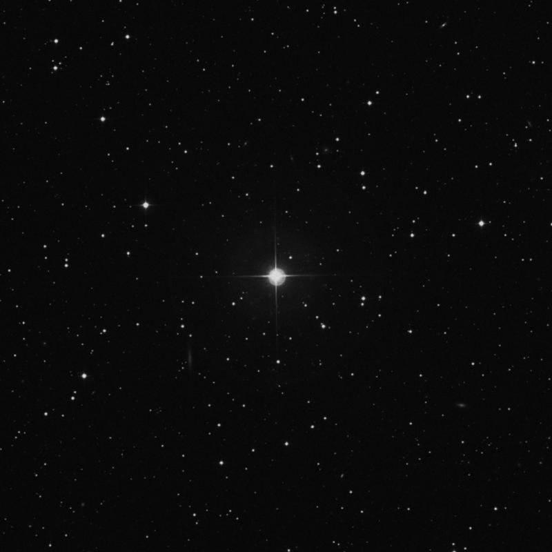 11 Trianguli - Star in Triangulum | TheSkyLive