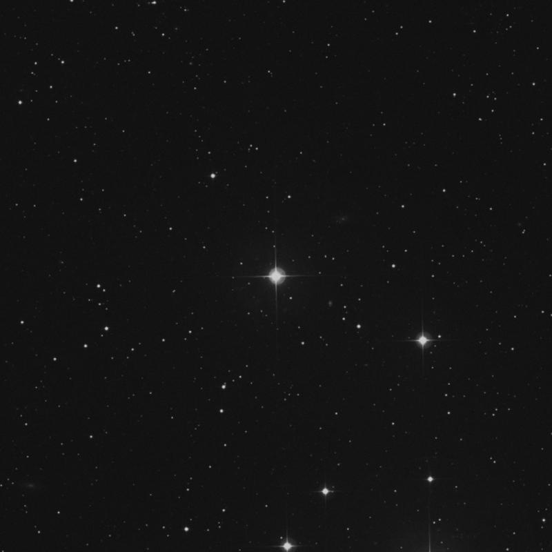 13 Trianguli - Star in Triangulum | TheSkyLive