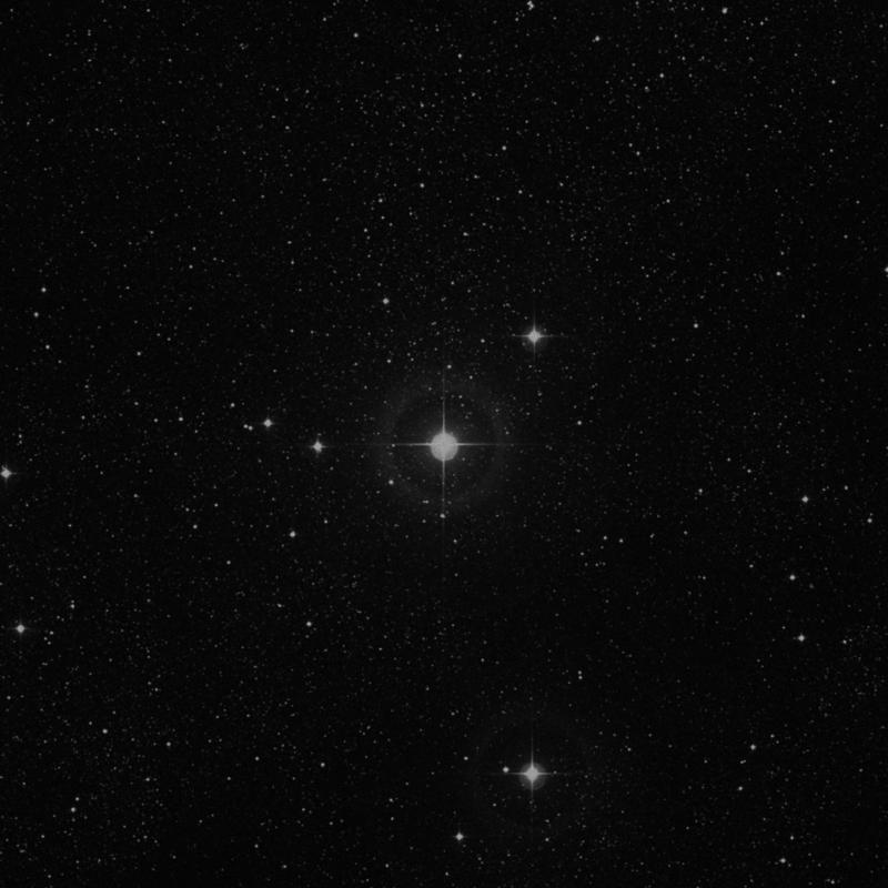 4 Aquilae - Star in Aquila | TheSkyLive