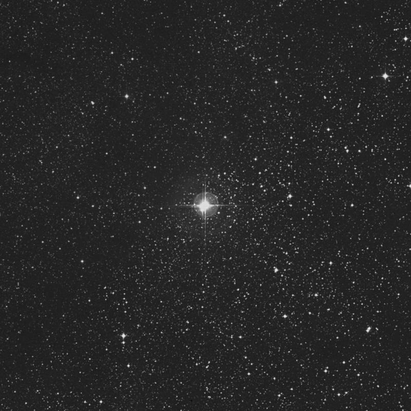 5 Aquilae - Star in Aquila | TheSkyLive