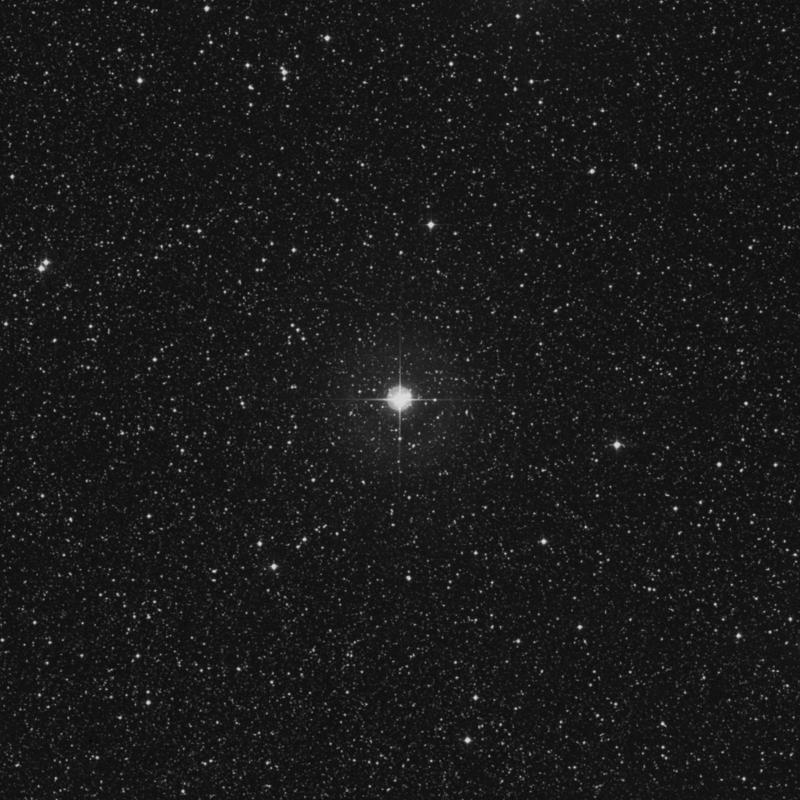 11 Aquilae - Star in Aquila | TheSkyLive