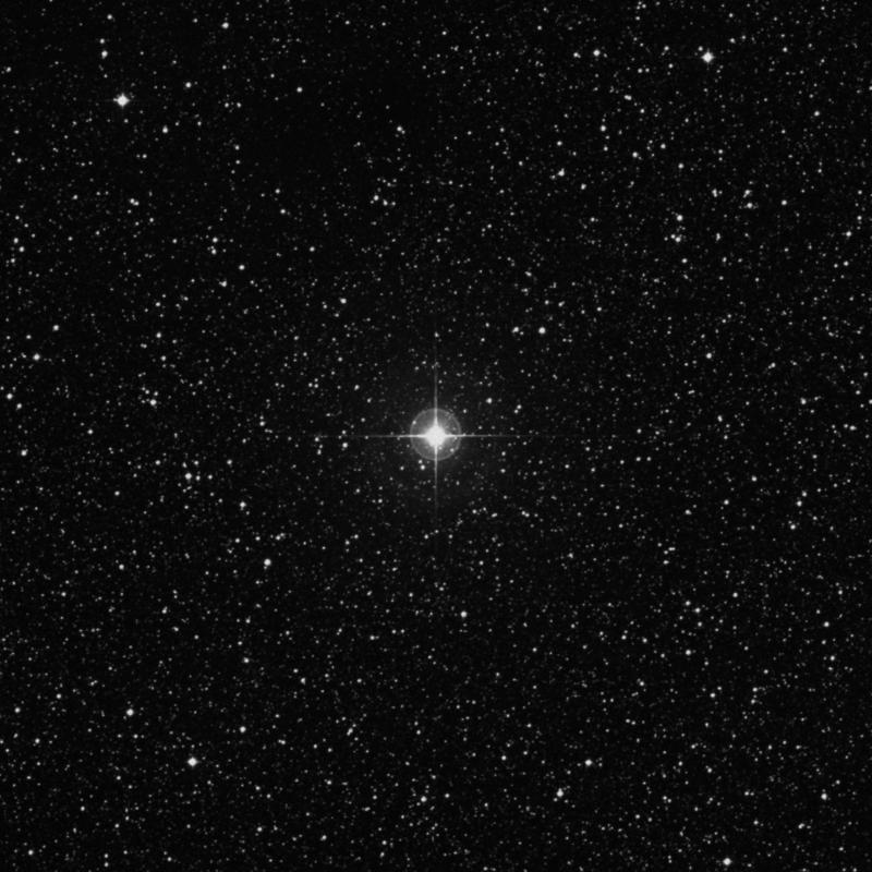 12 Aquilae - Star in Aquila | TheSkyLive