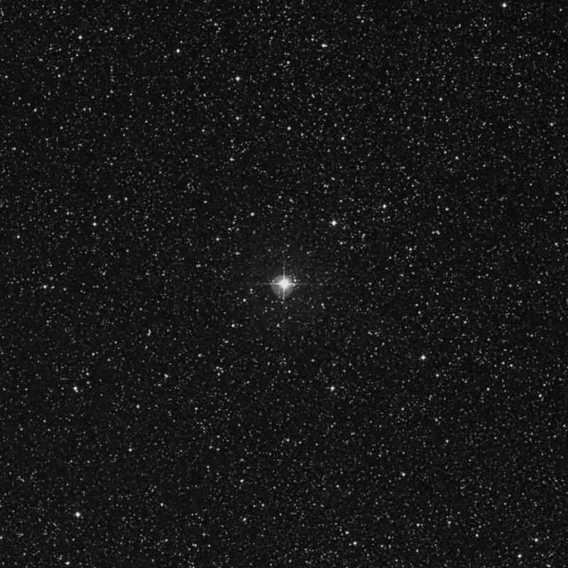 21 Aquilae - Star in Aquila | TheSkyLive