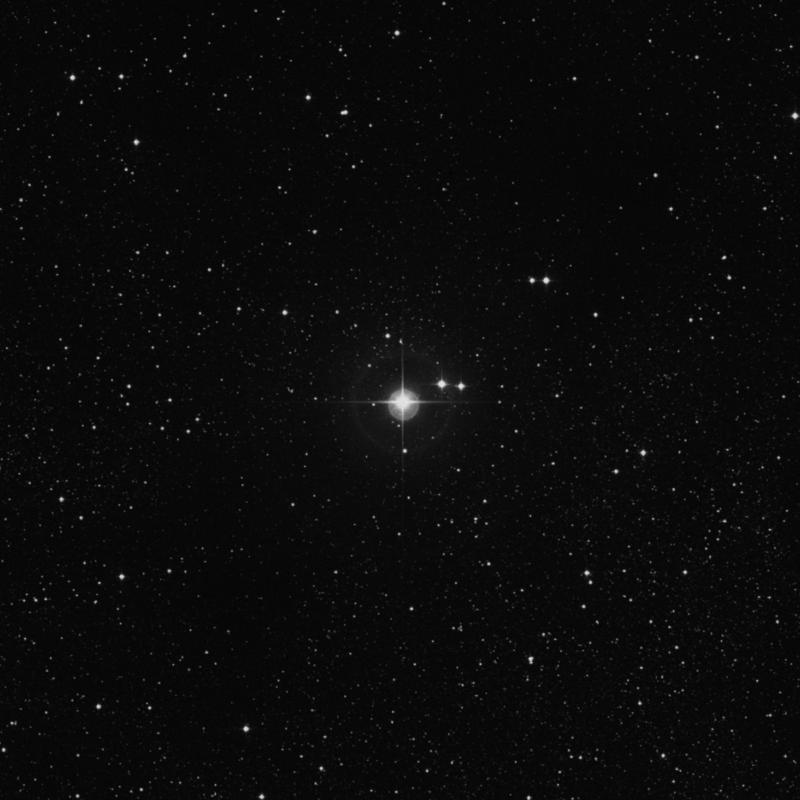 31 Aquilae - Star in Aquila | TheSkyLive