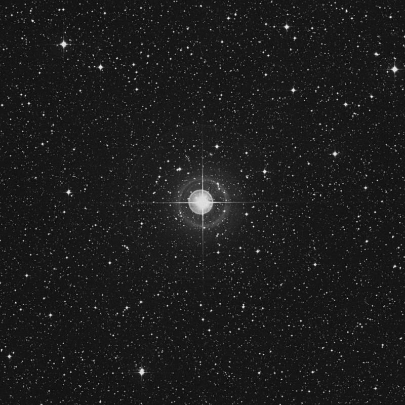 37 Aquilae - Star in Aquila | TheSkyLive