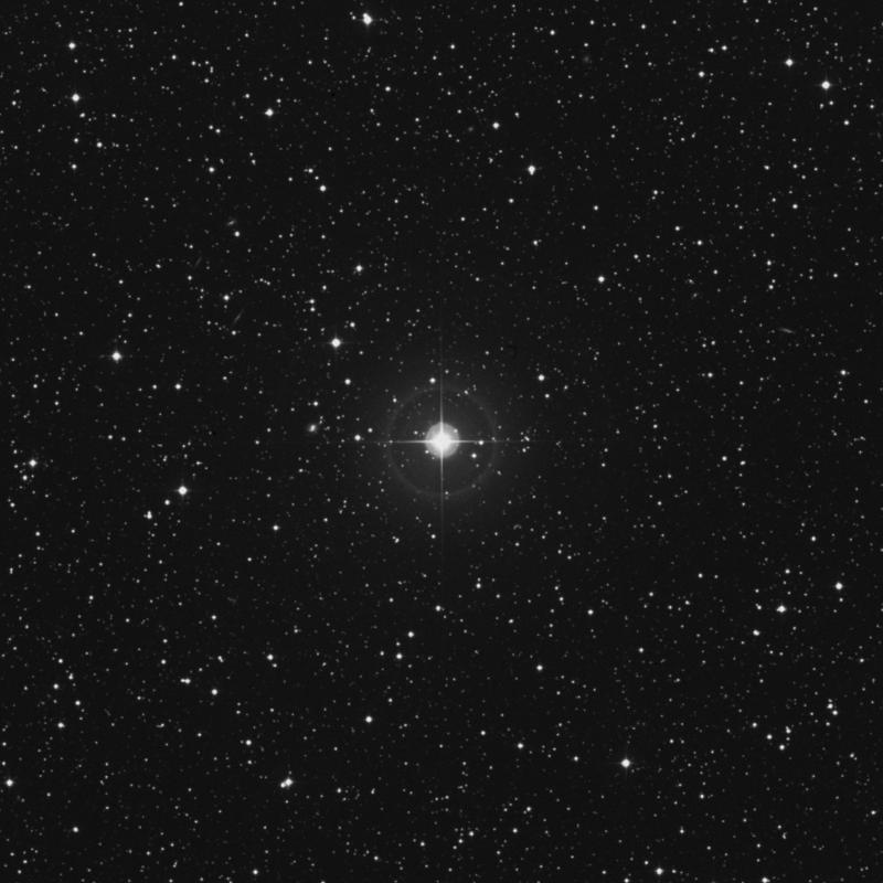 HR7442 - Star in Cygnus | TheSkyLive