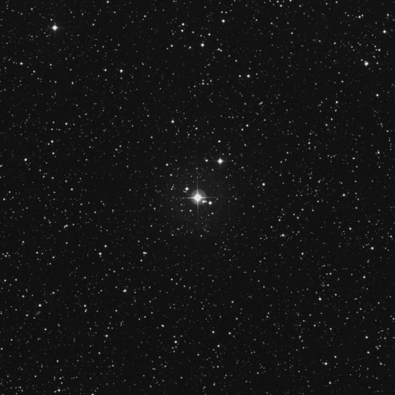 HR7477 - Star in Cygnus | TheSkyLive